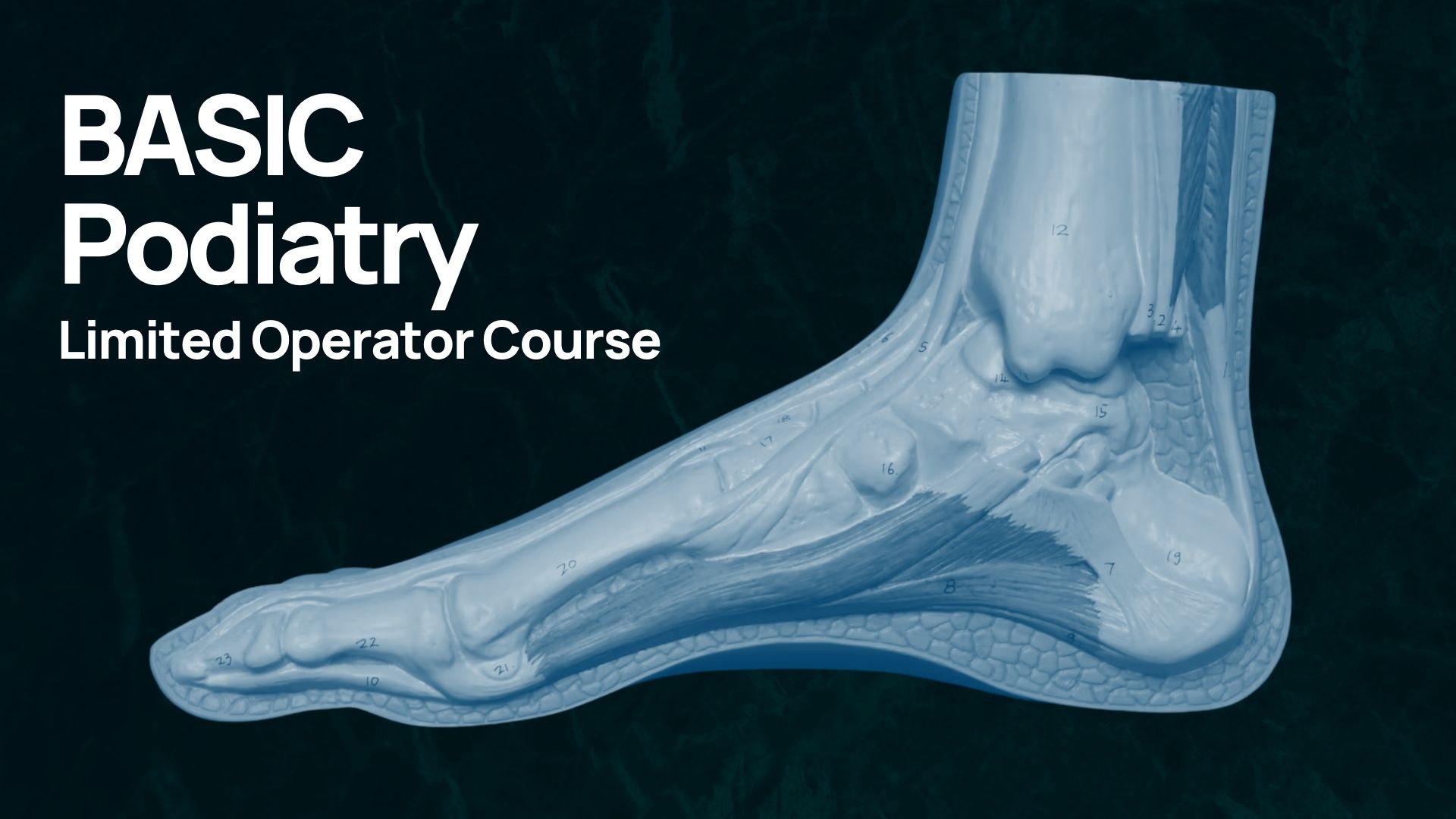 Podiatry Course for Limited Radiography - Control The Dose